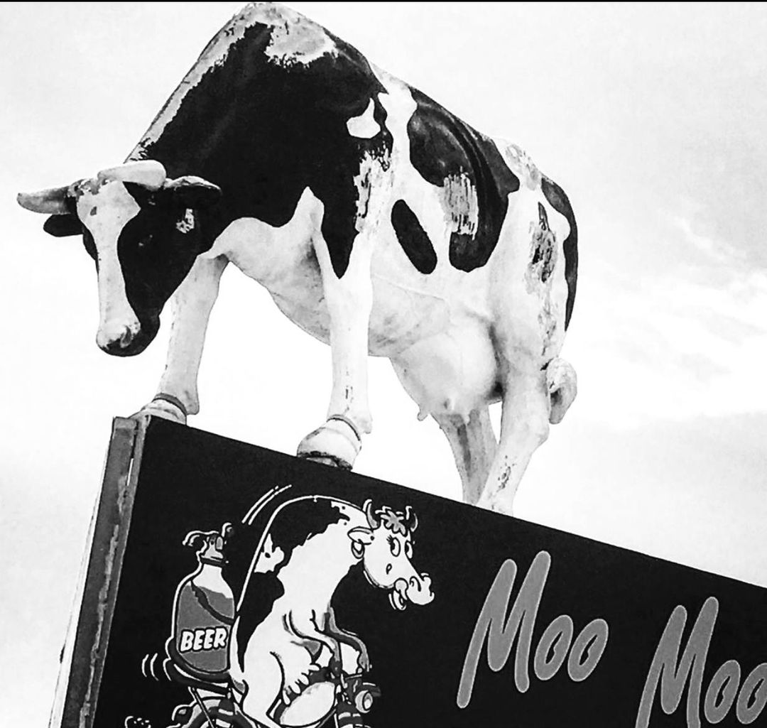 Moo moo from the roof top! | Rantings Of A Third Kind