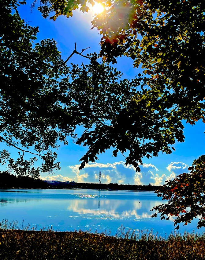 There is still sunshine left? | Rantings Of A Third Kind