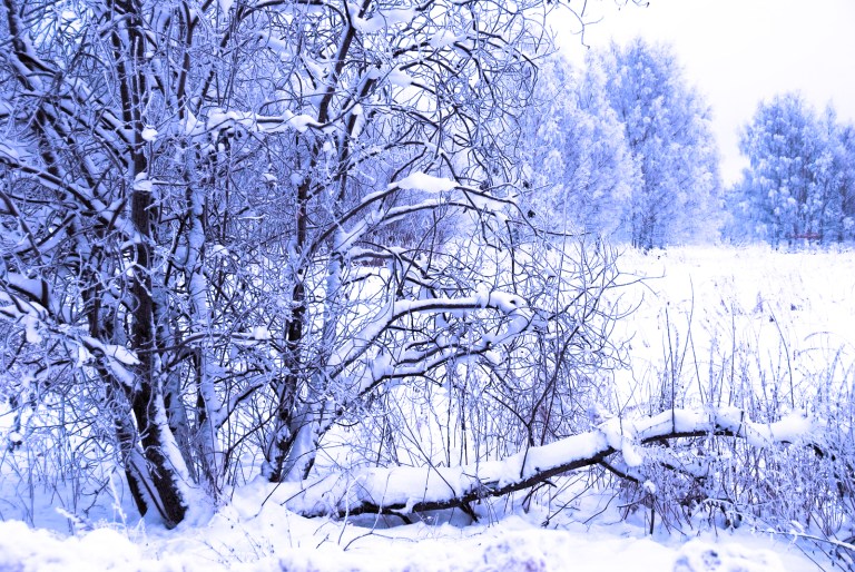 It’s a Blue Moment! | Rantings Of A Third Kind
