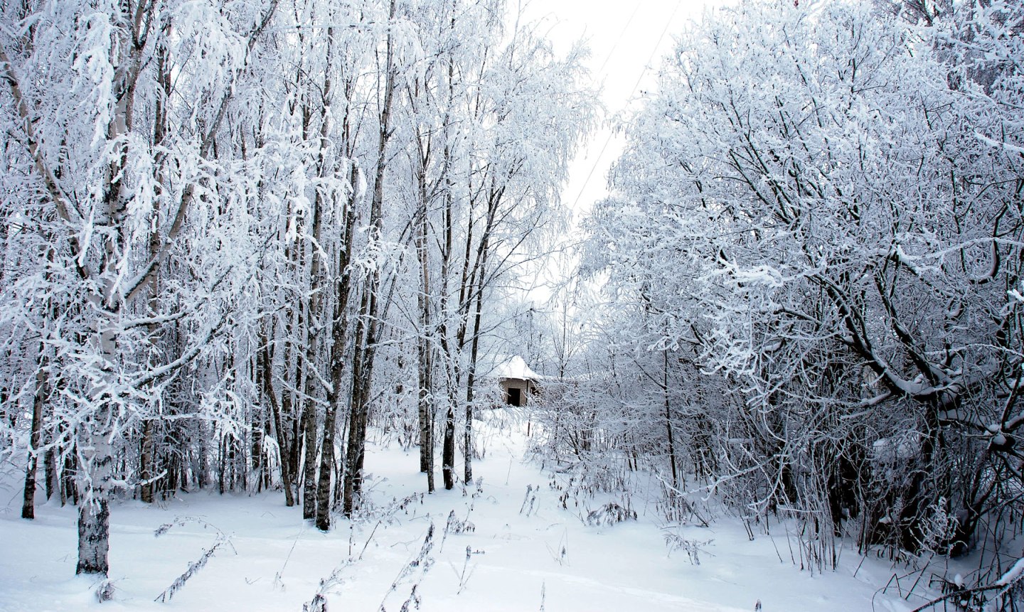 White Winter World | Rantings Of A Third Kind